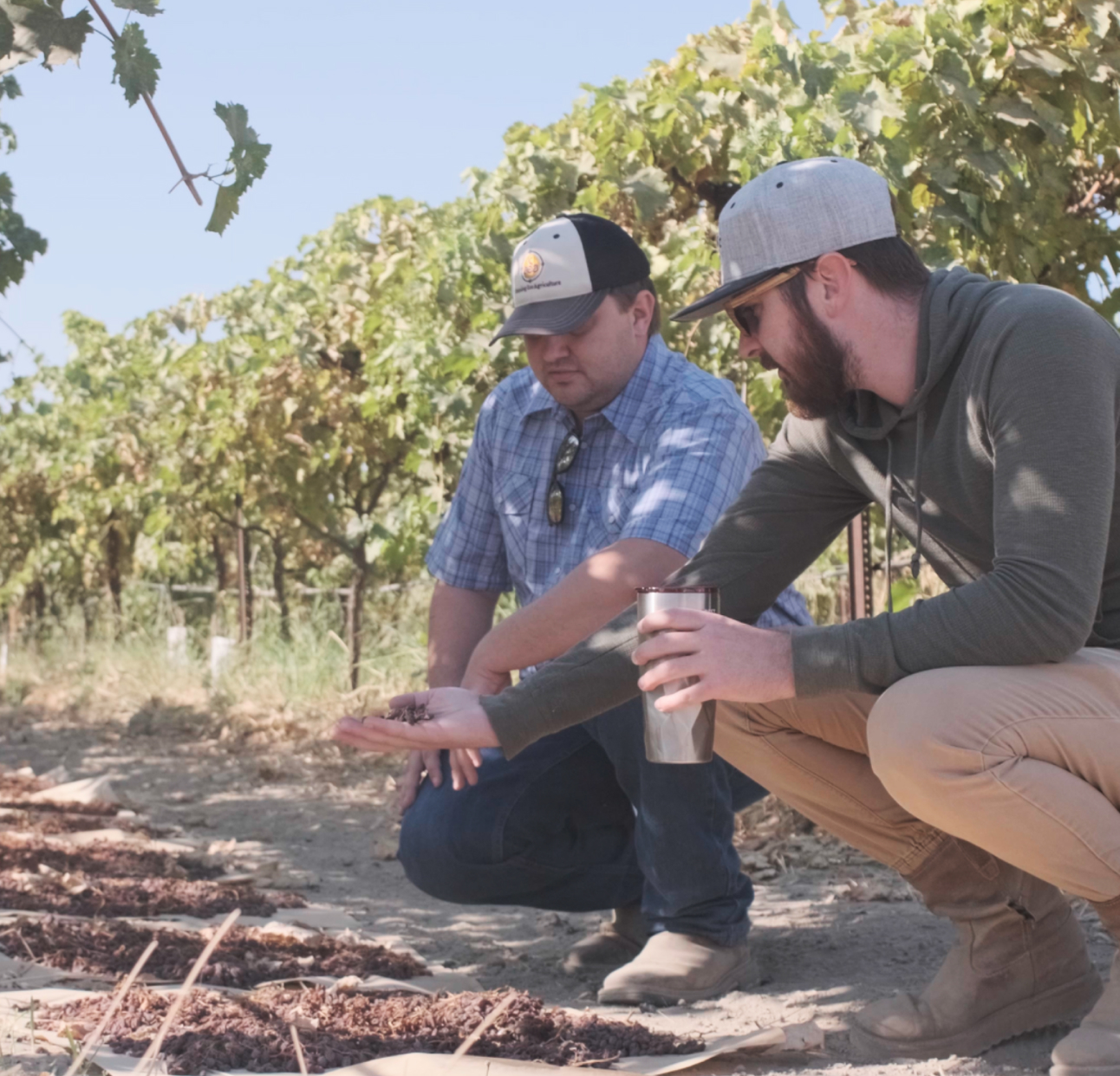 Crop Protocols - Advancing Eco Agriculture