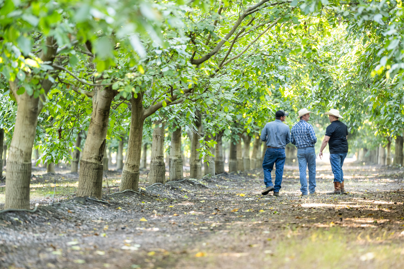 How We Work - Advancing Eco Agriculture
