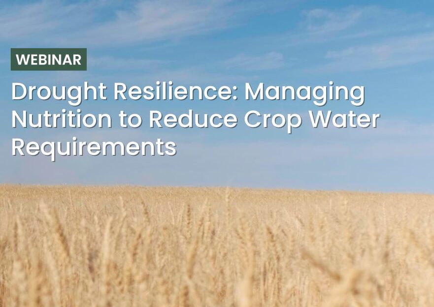 Drought Resilience: Managing Nutrition to Reduce Crop Water ...