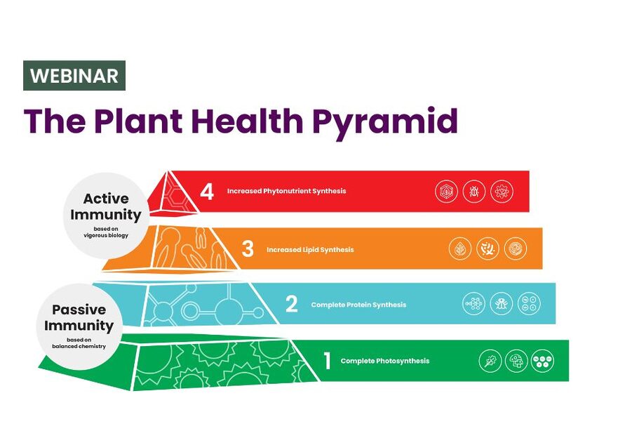 The Plant Health Pyramid Advancing Eco Agriculture