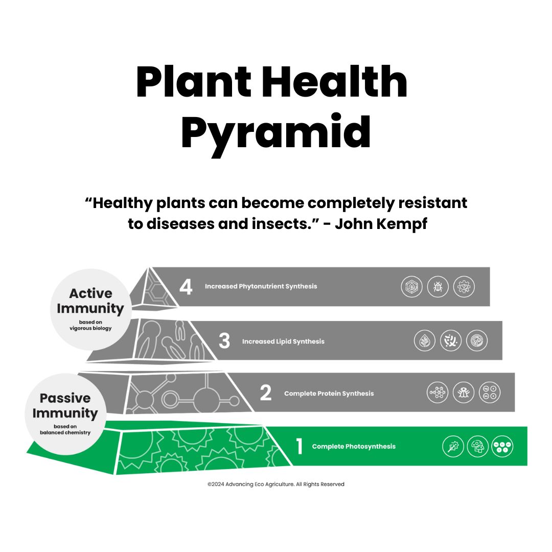 Plant Health Pyramid, Level 1: Complete Photosynthesis - Advancing Eco ...
