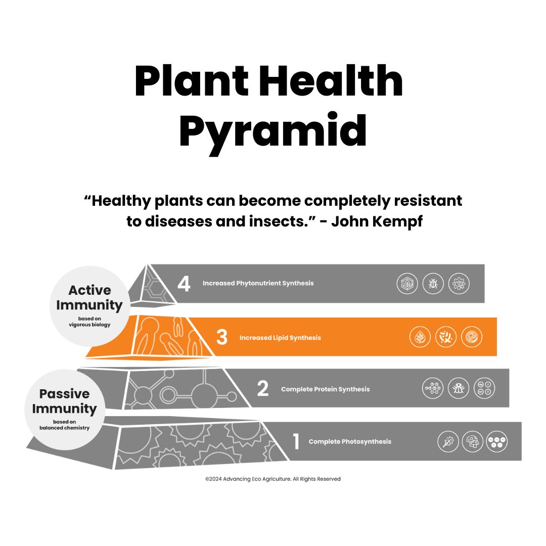 Plant Health Pyramid, Level 3: Lipid Synthesis - Advancing Eco Agriculture