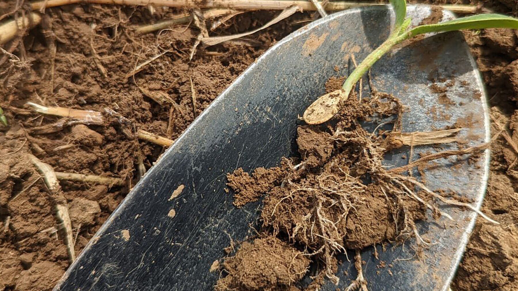 Spring Soil Bundle - Advancing Eco Agriculture